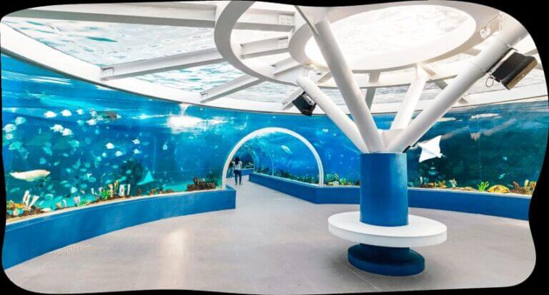 Cebu Ocean Park: A World-Class Marine Adventure In The Heart Of Cebu ...